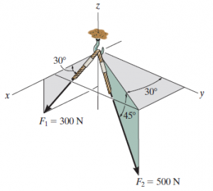 Forces in Cartesian Vector Form - Question Solutions