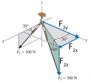 Forces in Cartesian Vector Form - Question Solutions